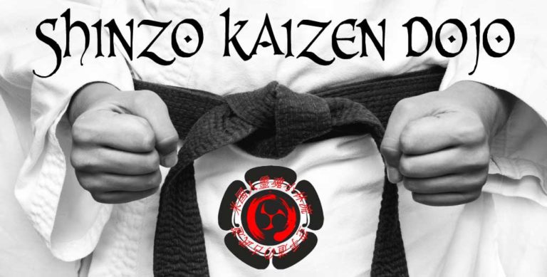 Shinzo Kaizen Dojo - Lakeview Church Of Christ
